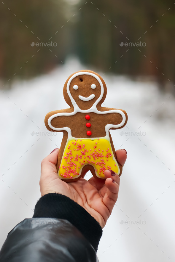 Gingerbread man, winner time, depth of field, holiday season, holiday ...