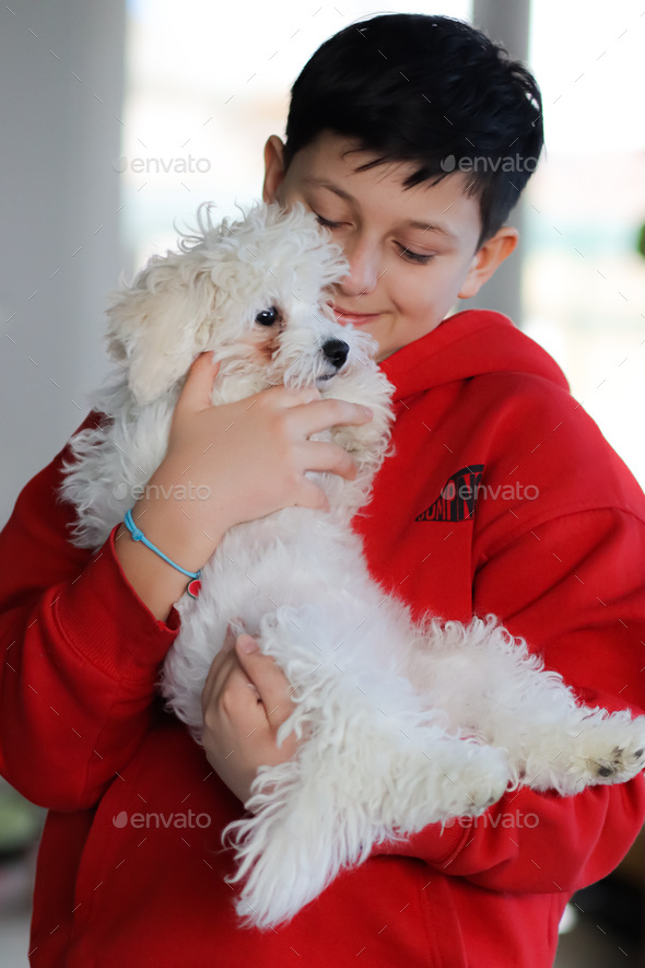 Portrait a teenager boy with his little dog. A boy hugs his dog ...