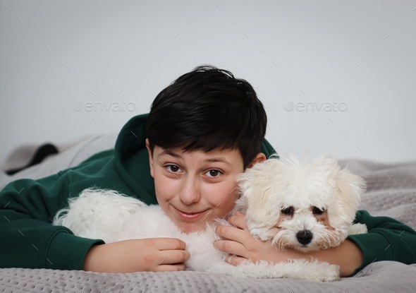 Portrait a teenager boy with his little dog. A boy hugs his dog ...