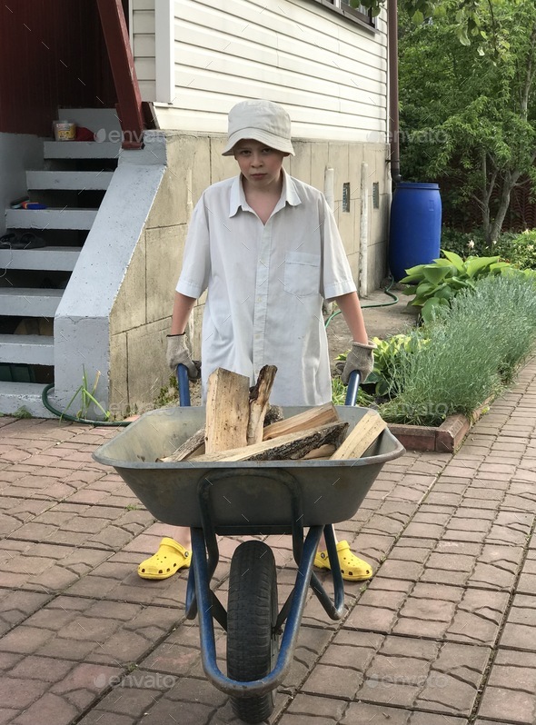 boy stacking firewood in a garden wheelbarrow Stock Photo by flernata