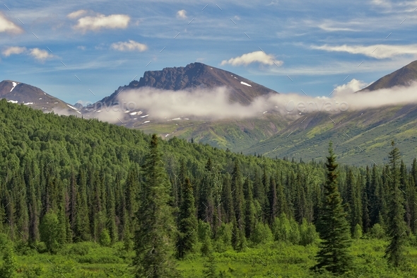 Blue skies Low clouds surround mountain surrounded by forests of ...