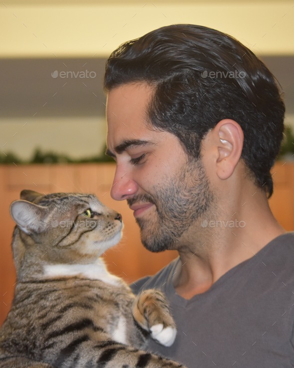 Cat and human Stock Photo by Malisunshine | PhotoDune