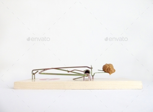 Mouse trap with peanut butter side view Stock Photo by iheartcreative