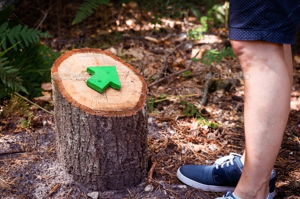 man's legs and tree stump with green wooden arrow pointing the ...