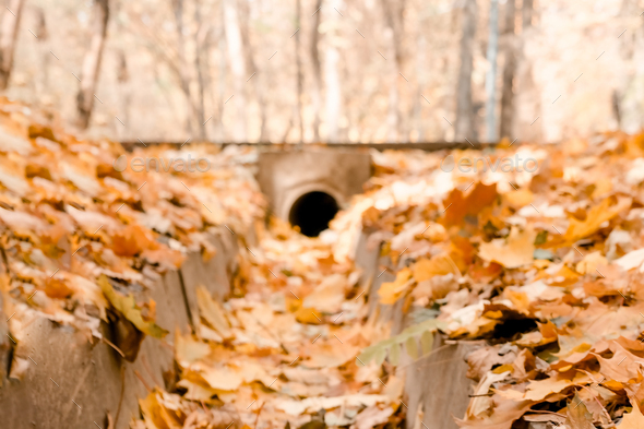 Blurred background: Colourful foliage leaves clogged in street gutter ...