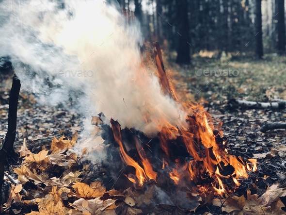 Bonfire Stock Photo by inapashkina | PhotoDune