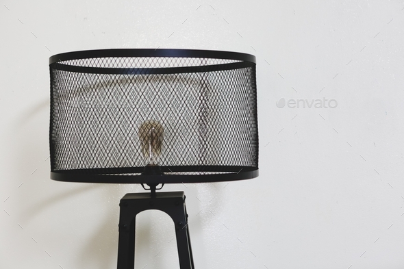 Modern minimalistic mesh geometric grid lamp with light bulb in front ...