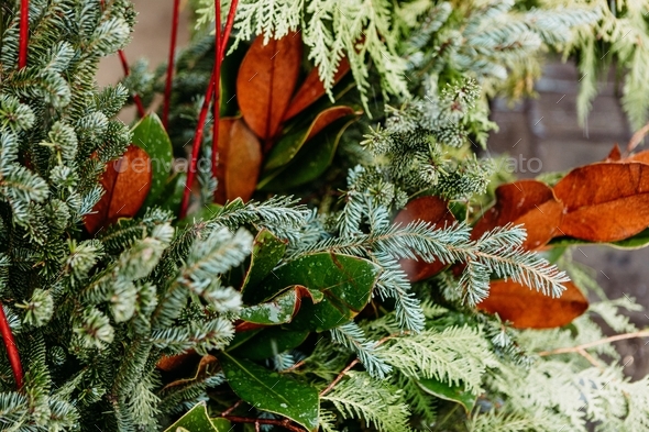 Winter greenery background with chestnut colored leaves and firs Stock ...