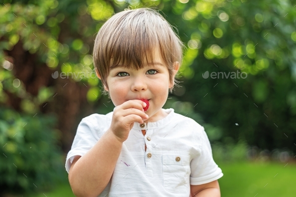 Close-up portrait of cute little baby boy eating red fresh ripe ...