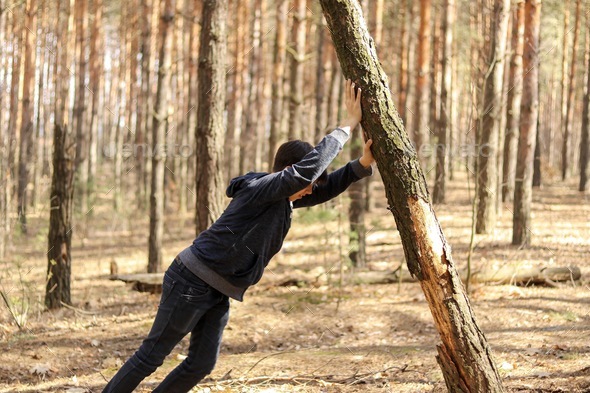 Teenager boy holding the falling tree in the autumn forest. Pushing the ...