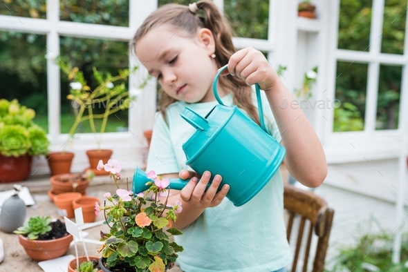 Spring activities for growing plants. Stock Photo by TGordievskaya