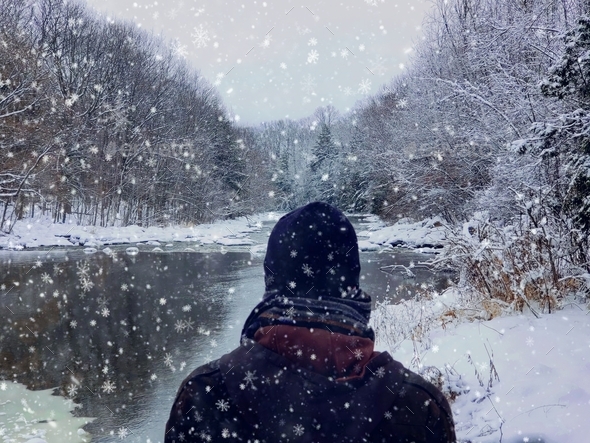 Magical winter moment in a quiet forest at riverbank during snowfall ...