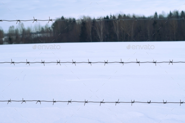 barbed wire Stock Photo by TTereza | PhotoDune