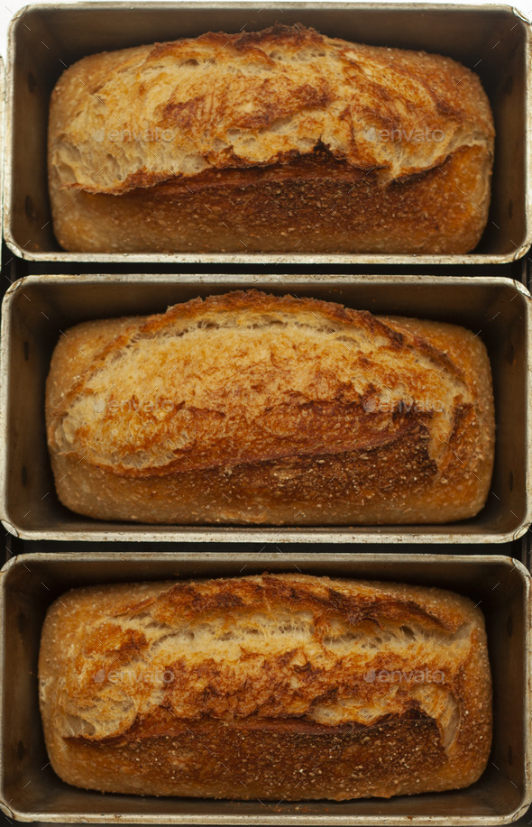 loaves of bread in molds in a bakery Stock Photo by loskyt7 | PhotoDune