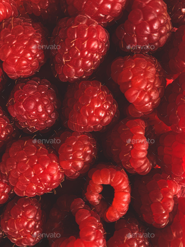 Raspberry background. Fruit full frame texture pattern fresh organic ...