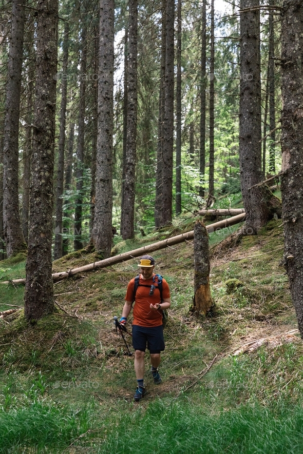 Hiker exploring a beautiful mountain area and the forest. Stock Photo ...