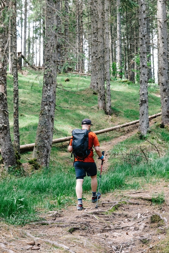 Hiker exploring a beautiful mountain area and the forest. Stock Photo ...