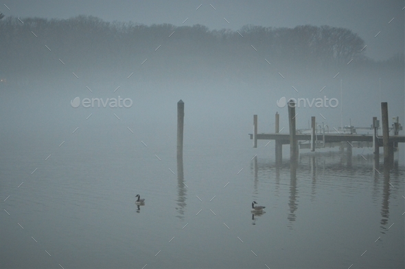 Finding fog! Nominated Stock Photo by maginnislaura | PhotoDune