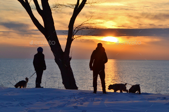 Silhouette of people and dogs watching sunset Stock Photo by maginnislaura