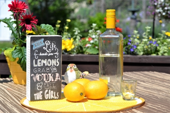 Ha!! When life hands you lemons, grab the vodka & call the girls ...