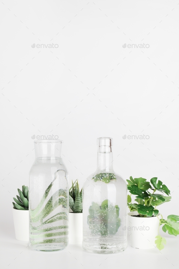 plants in pots distorted through water in bottle on white background ...