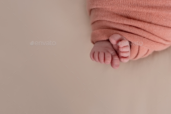 Baby feet. Newborn babies feet on neutral background. Copy space. Stock ...