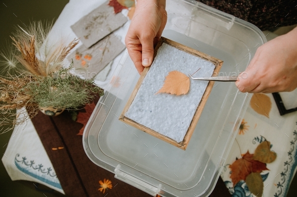 Formation of a leaf using a manual form from paper pulp and a dry plant ...