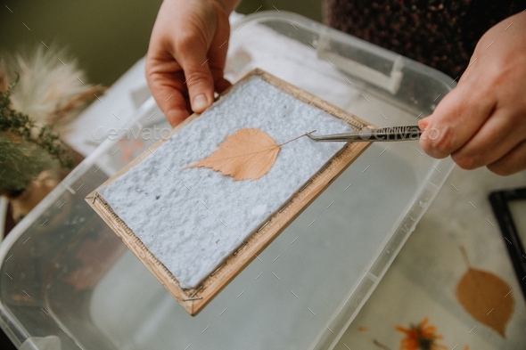 Formation of a leaf using a manual form from paper pulp and a dry plant ...