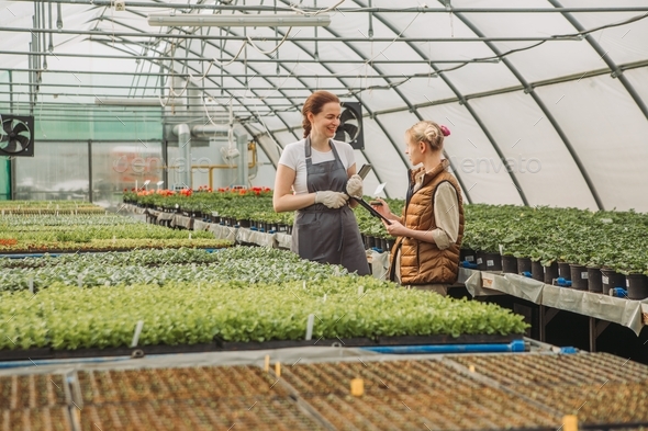 Female farm workers discuss and check the planting of flowers in the greenhouse Stock Photo by ...
