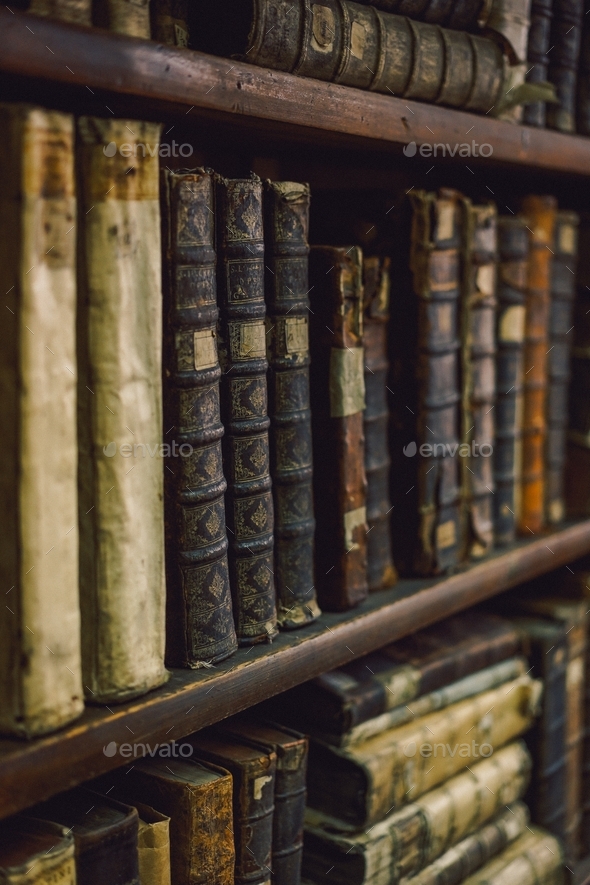 library of old rare books Stock Photo by elmizaismagilova | PhotoDune