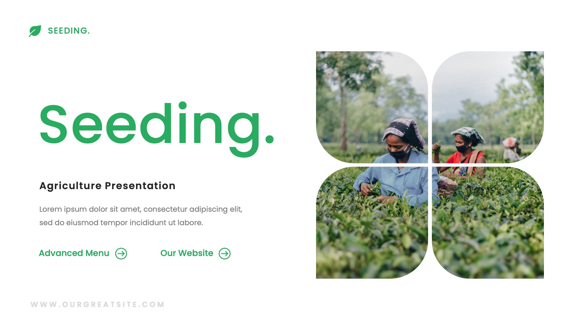 Seeding - Agriculture Presentation PowerPoint, Presentation Templates