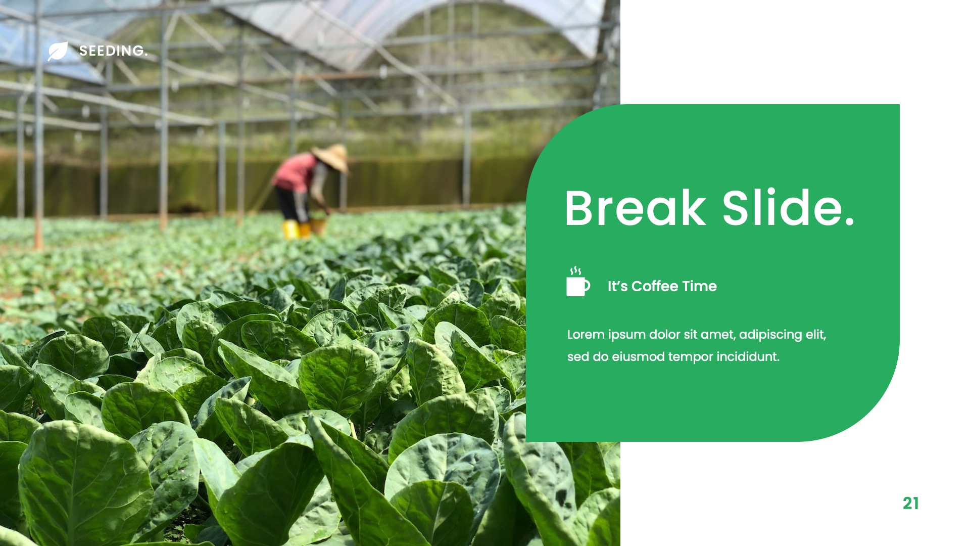 Seeding - Agriculture Presentation PowerPoint, Presentation Templates