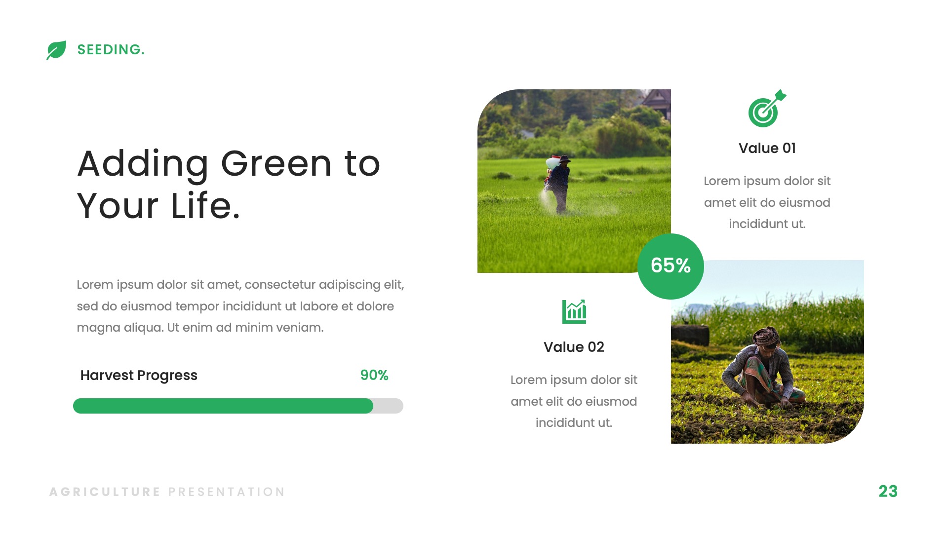 Seeding - Agriculture Presentation PowerPoint, Presentation Templates