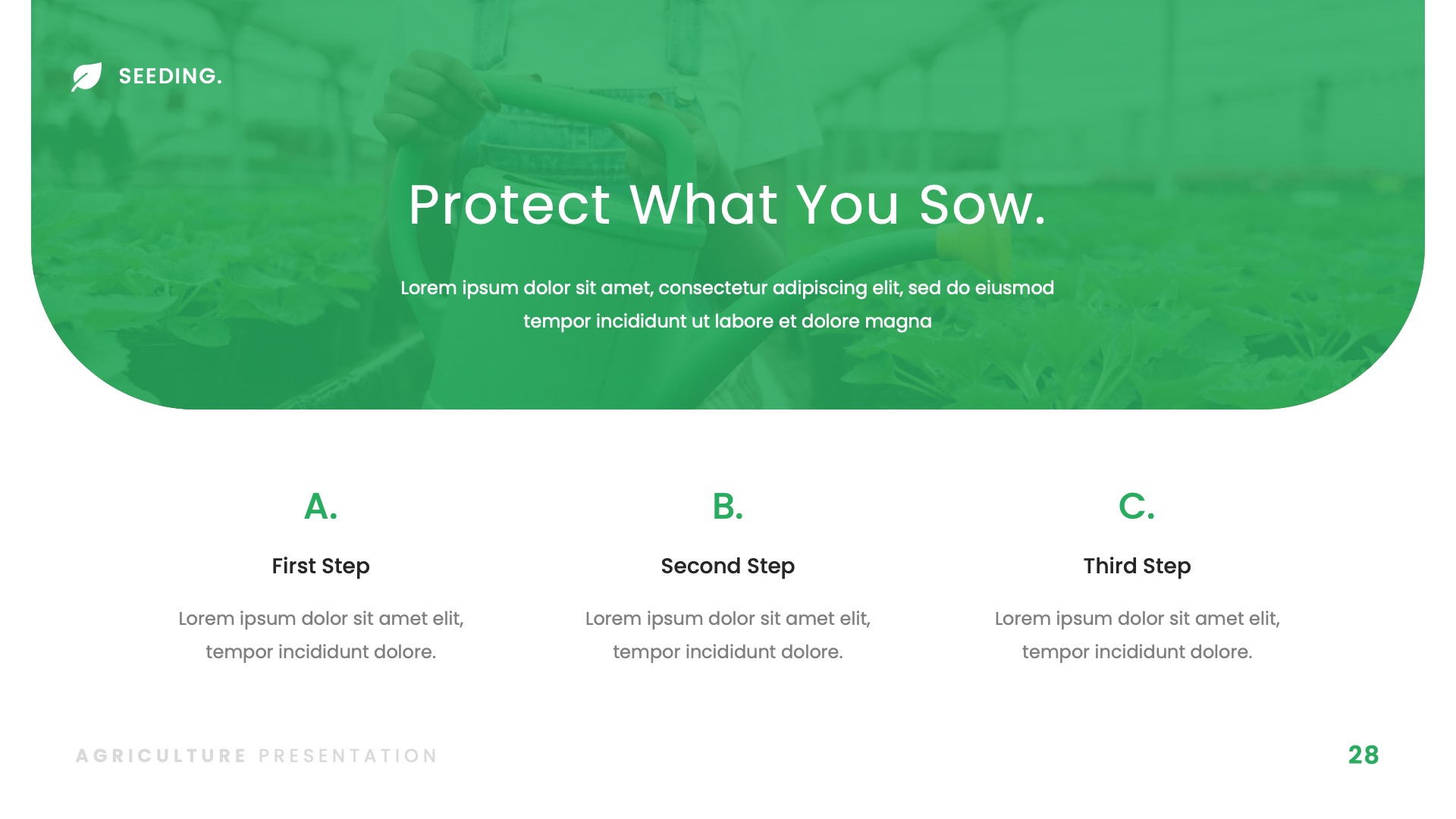 Seeding - Agriculture Presentation PowerPoint, Presentation Templates