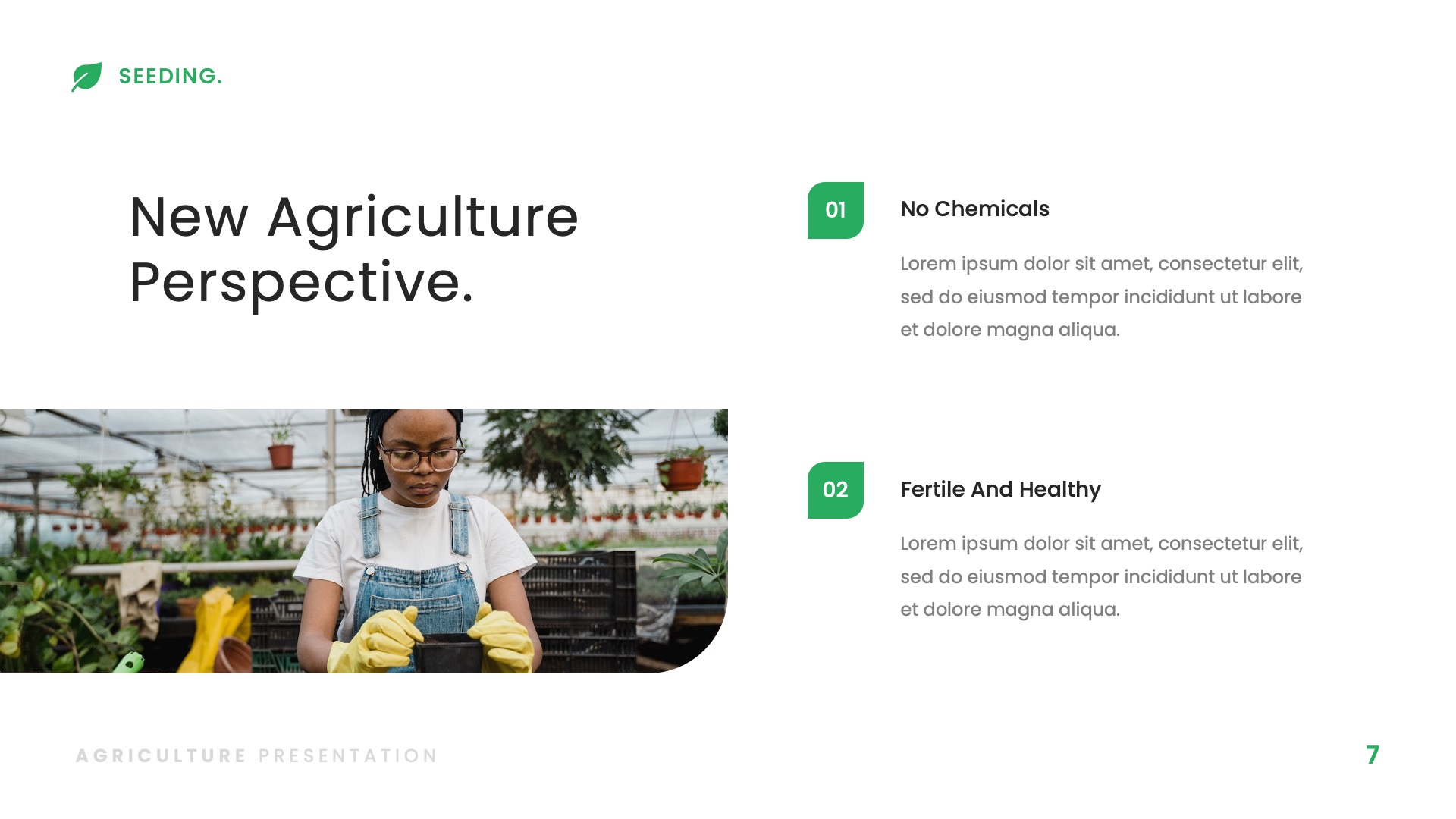 Seeding - Agriculture Presentation PowerPoint, Presentation Templates