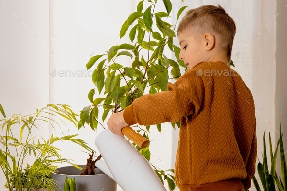 Adorable, cute boy caring of indoor plants at home. A little helper in ...