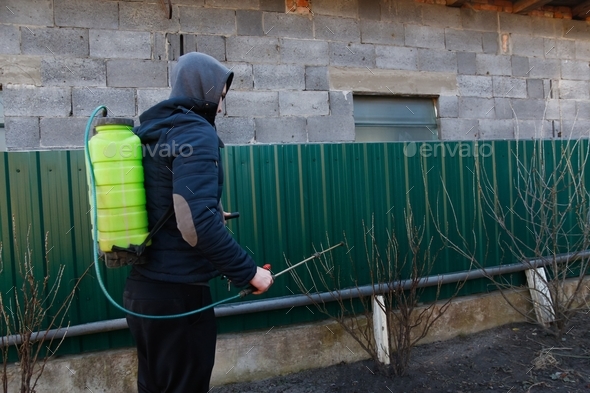 Spray pesticides, pesticide on bush. Defocus farmer man spraying tree ...