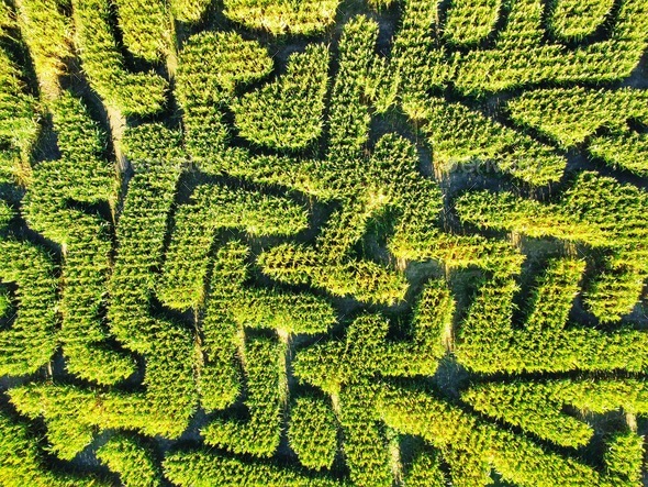Maze in a green field Stock Photo by nicgorski | PhotoDune