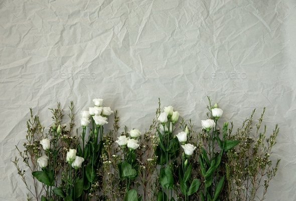 Flower arrangment on crumpled paper. Stock Photo by ammarant | PhotoDune