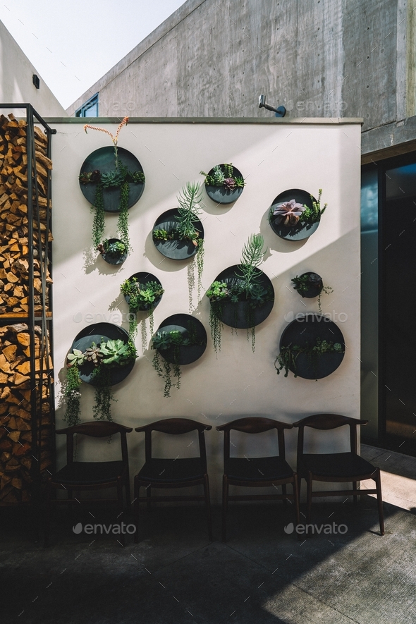 plant Stock Photo by MikeeRogers | PhotoDune