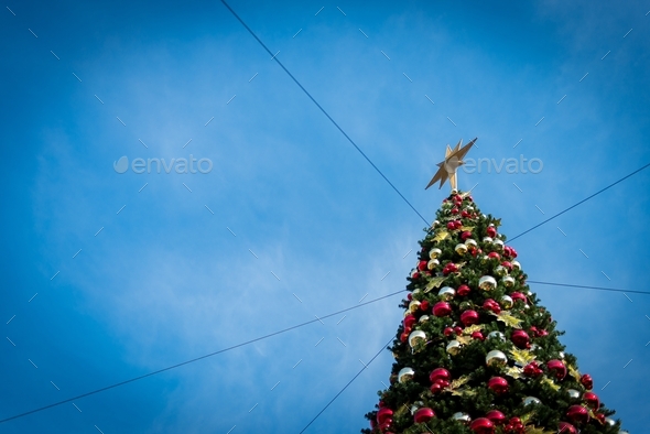 Large outdoor Christmas tree Stock Photo by naokawa | PhotoDune