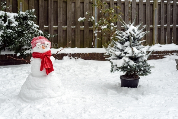 Christmas tree and snowman stand in a snowy backyard. Stock Photo by ...