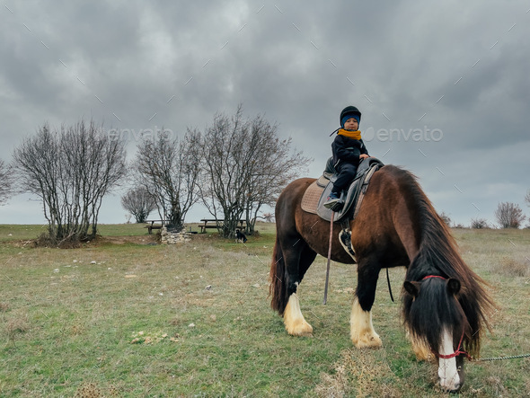 A little boy riding a horse. The kid is engaged in horse riding. A ...