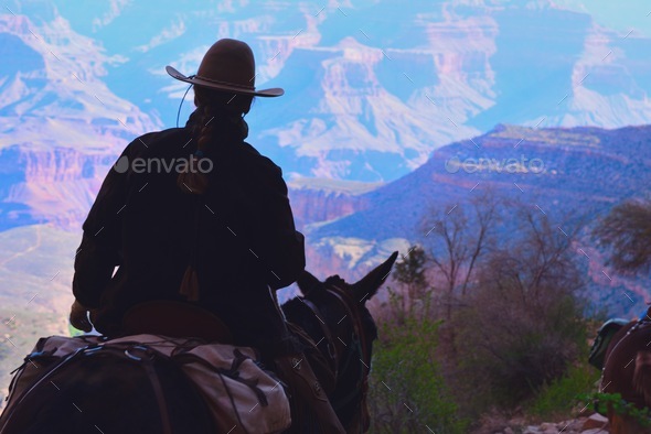 Cowboy woman riding horse mule looking over grand canyon arizona wild ...