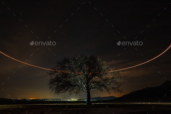 Red light trail above a secular oak tree with starry night and village ...