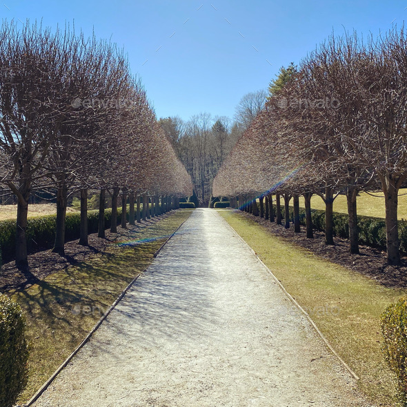 Symmetrical trees leading to a formal, Italian garden at a historic ...