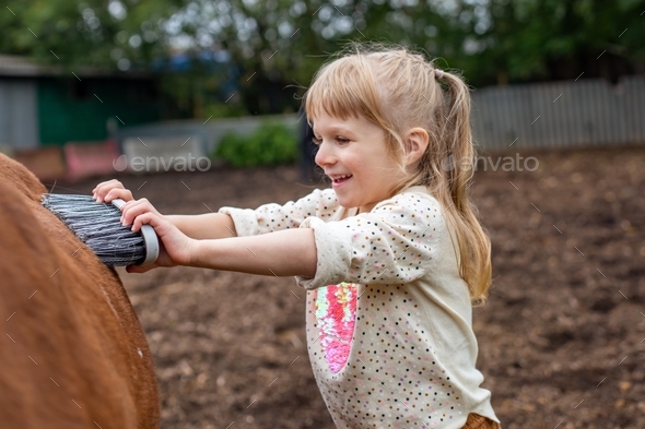 Adorable Girl clean her pony horse with brush in corral and laugh ...