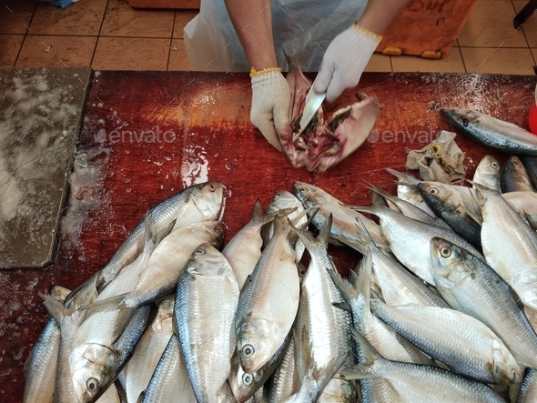 Top view of worker removing the guts of a fish Stock Photo by iportret