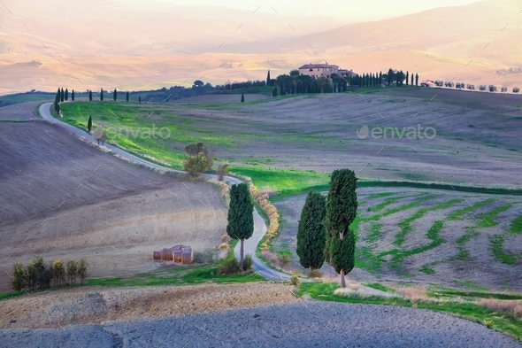 Road with cypress trees and fields at sunrise. Italian countryside ...