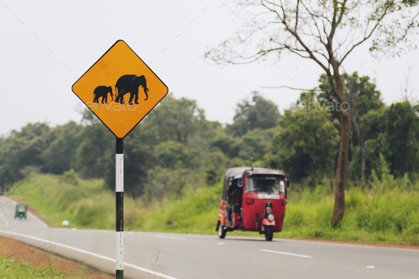 Sign “watch out on crossing elephants” on the Sri Lankan road. Stock ...